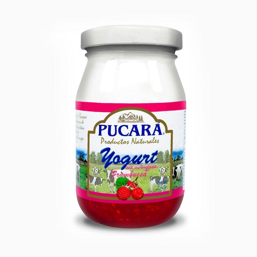 Yogurt grande natural – Quesos Pucará