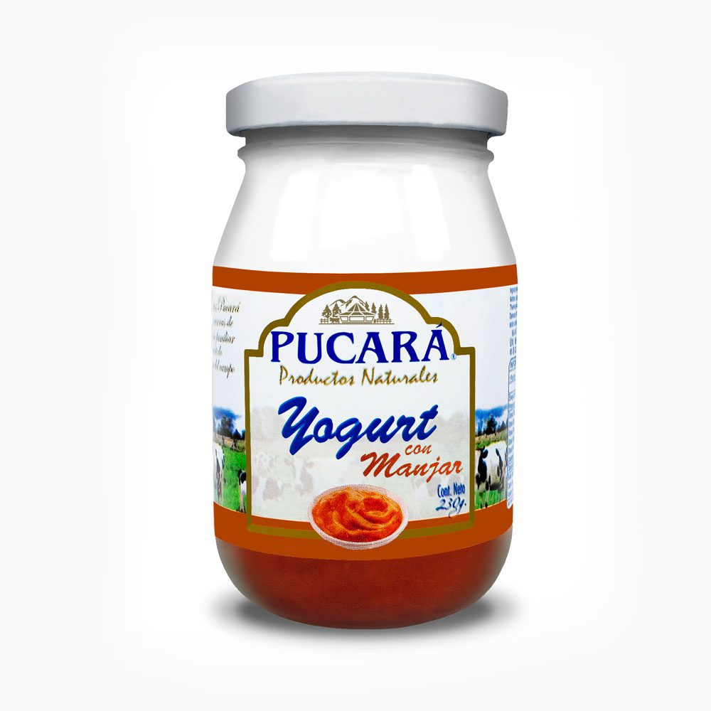 Yogurt grande manjar – Quesos Pucará