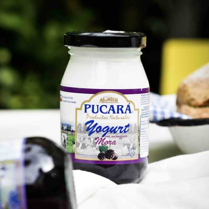 Yogurt archivos - Quesos Pucará